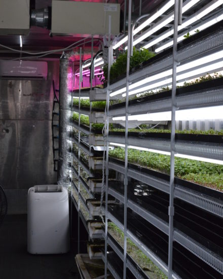 Portland Farmers Market Farm Visit: Nexgarden Farms - Portland Farmers ...