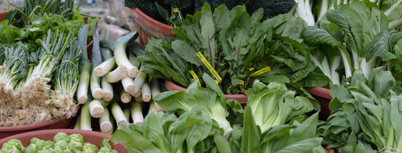 Portland Farmers Market homepage - Portland Farmers Market