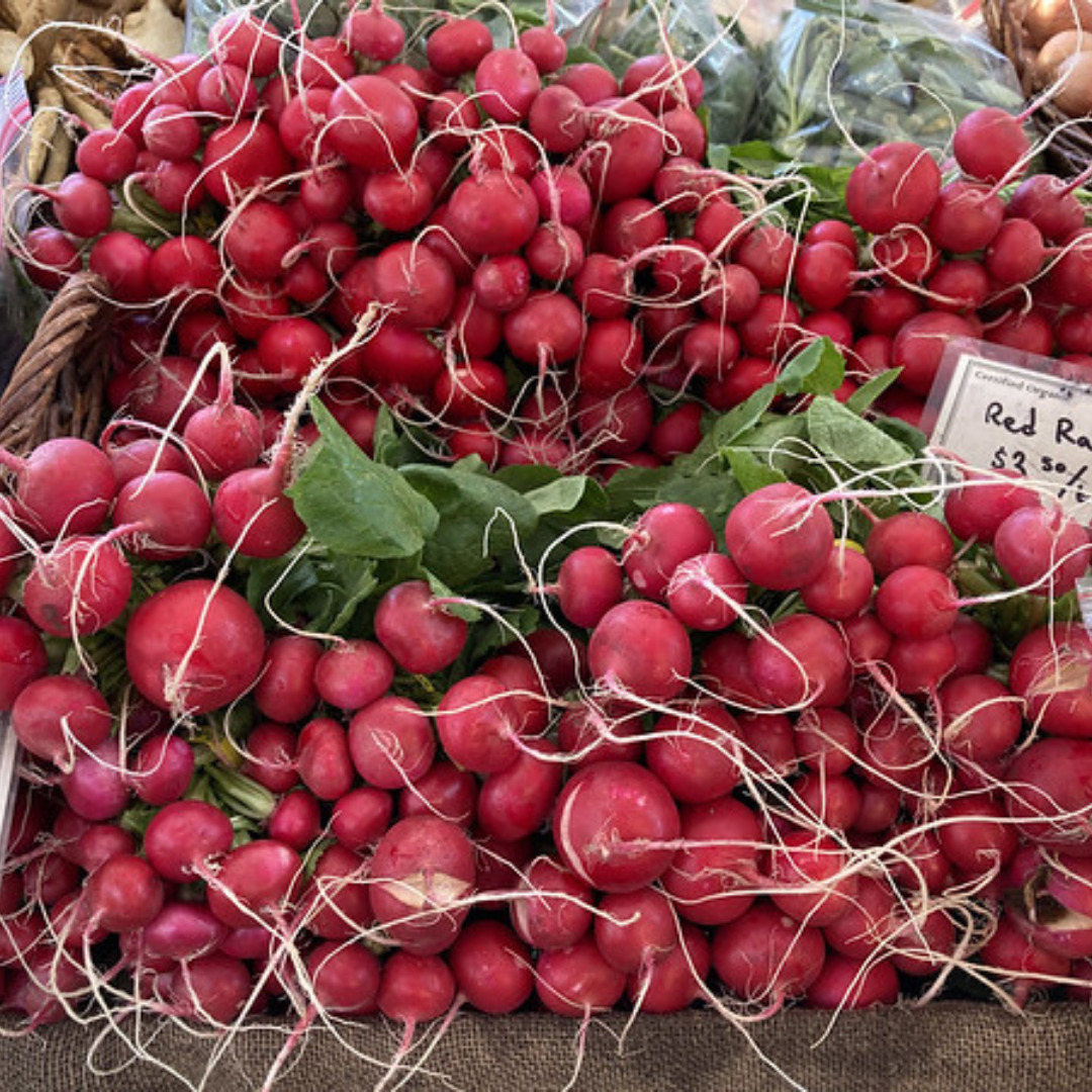 Get to know the winter radish! - Portland Farmers Market