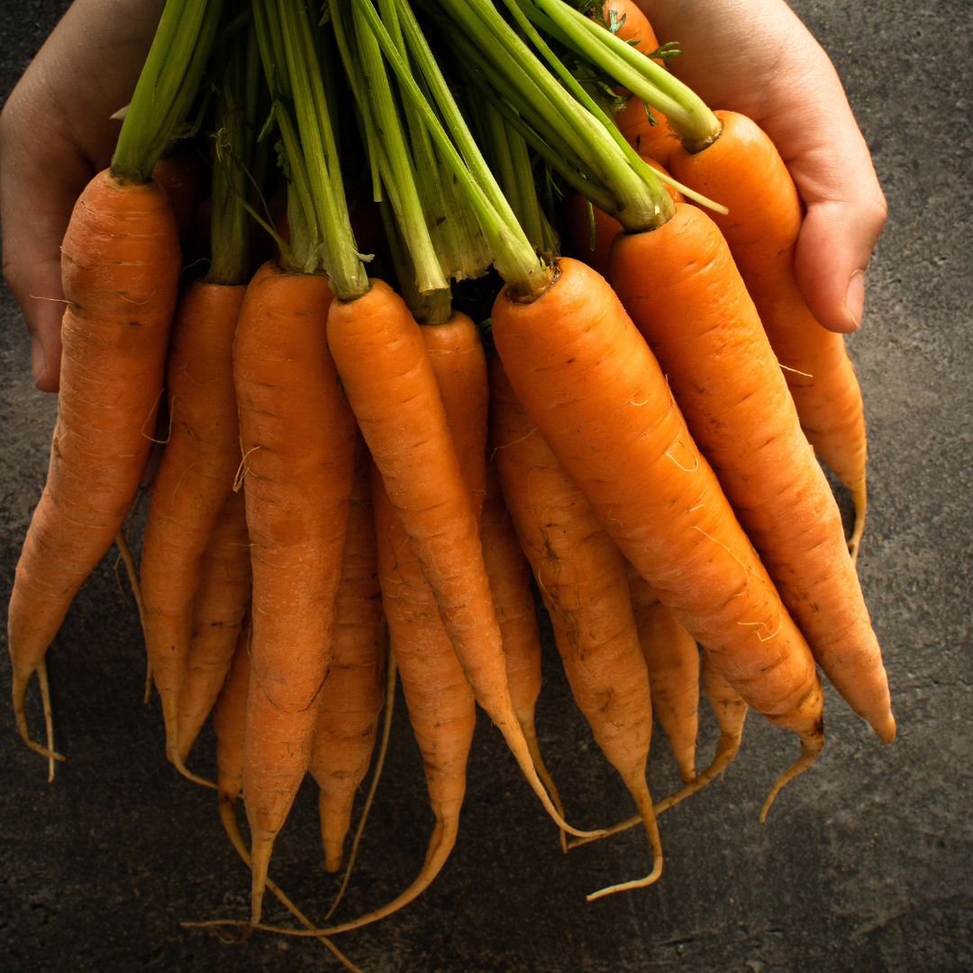 Carrots: A Primer - Portland Farmers Market